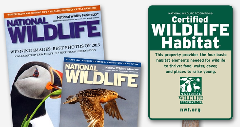 Overview of National Wildlife Federation List Properties Overview of National Wildlife Federation List Properties